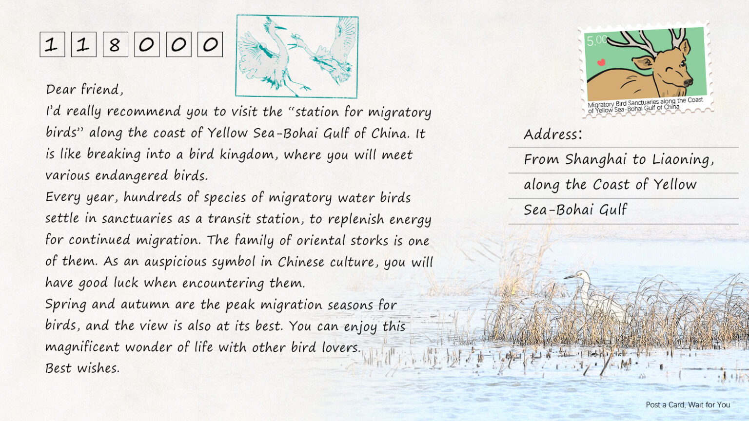 A Bird Kingdom Born along the Coast of Yellow Sea-Bohai Gulf - CHINA ...