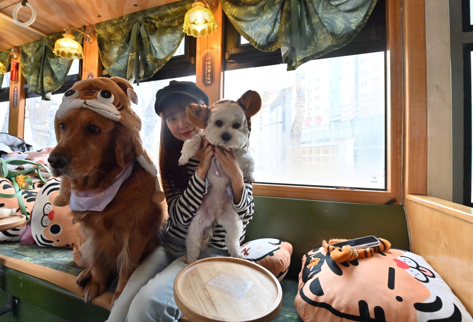 Traveling with Pets: A Trend That's Here to Stay - CHINA MINUTES