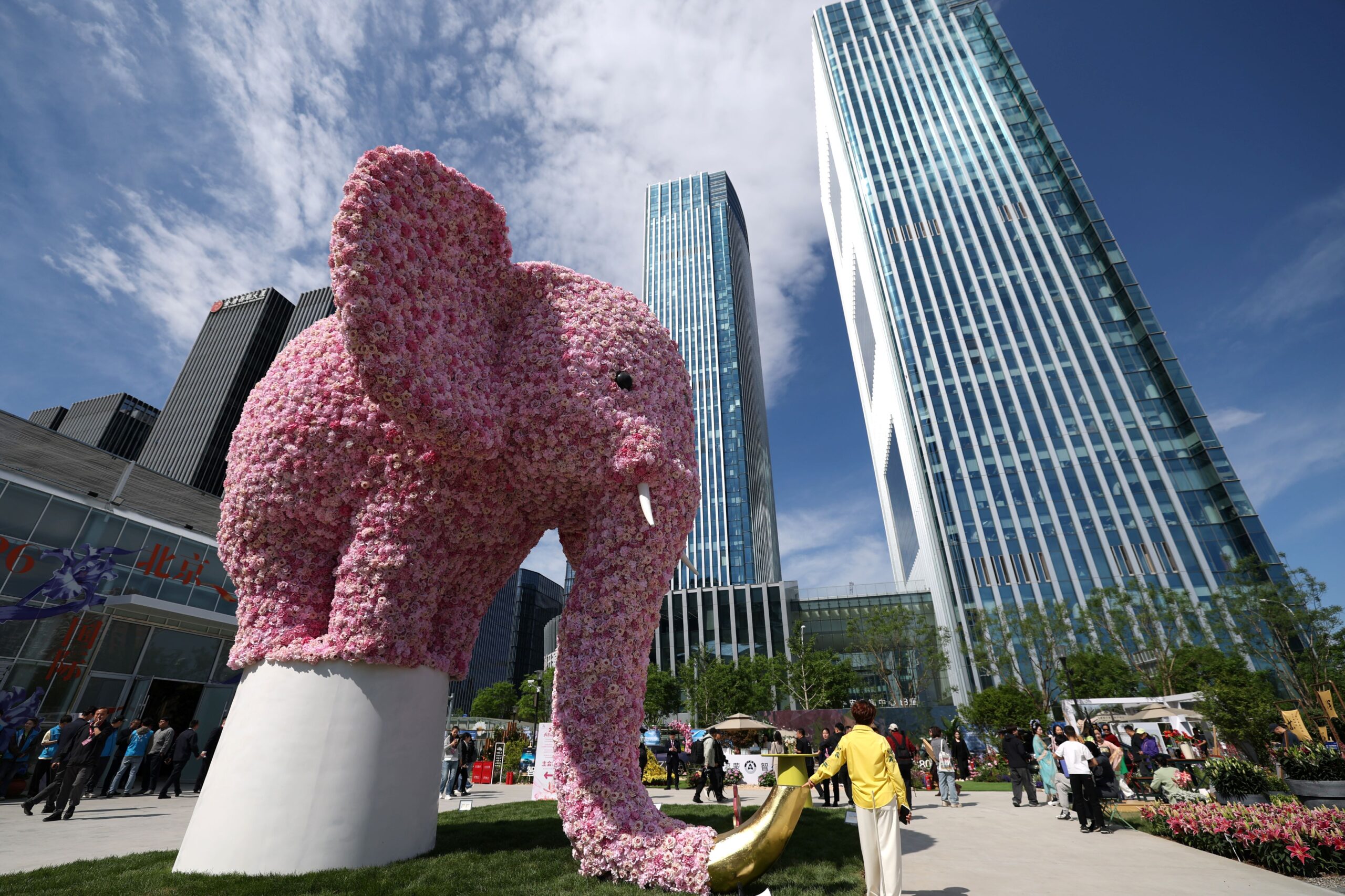 Flowers Without Borders: Beijing International Flower Show Opens ...